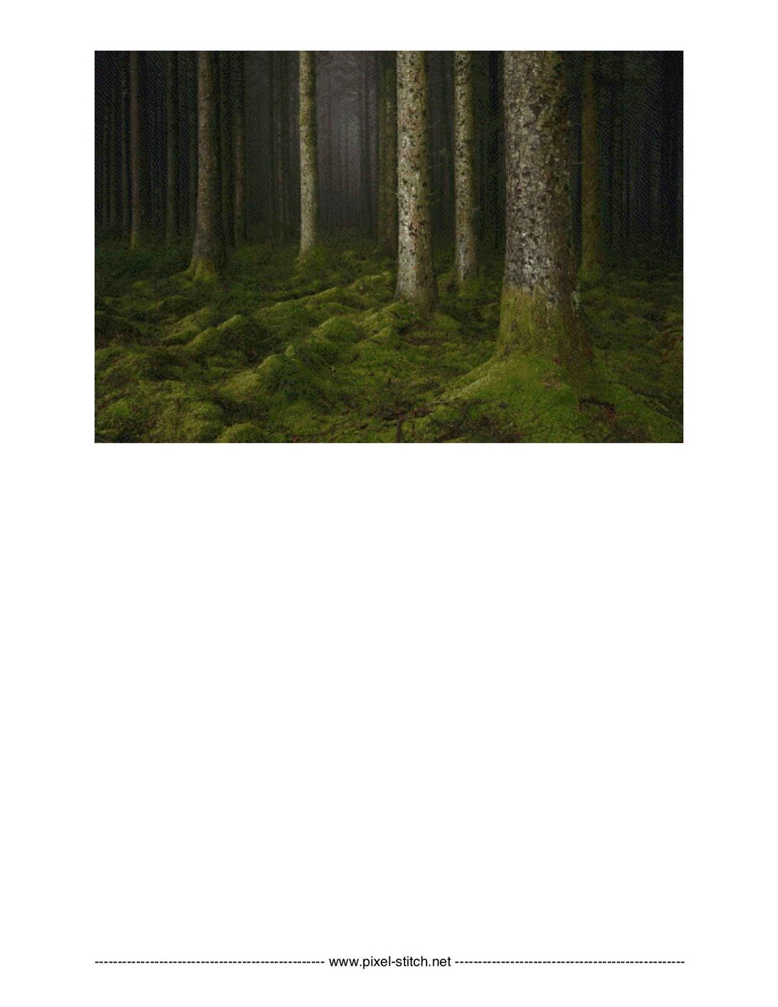 The Forest Cross Stitch Pattern - Etsy