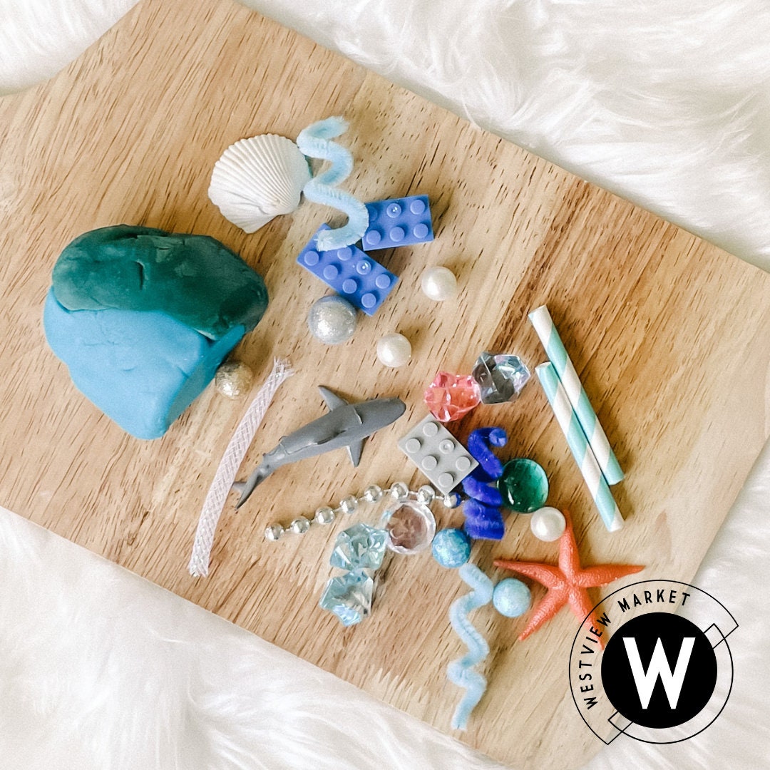 Ocean Theme Sensory Play Dough Kit - Etsy