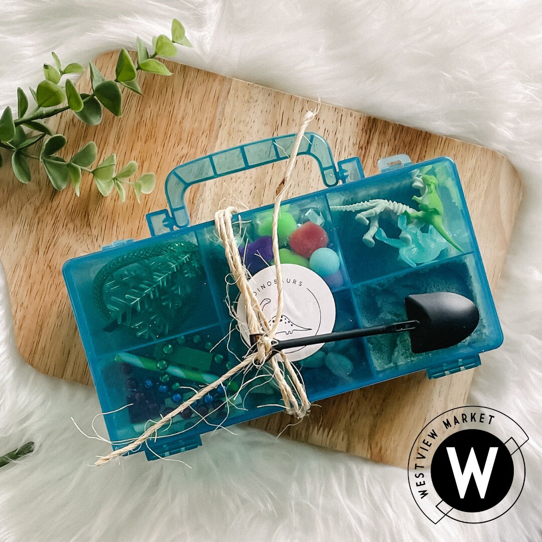 Dinosaur Sensory Sand Box - Etsy