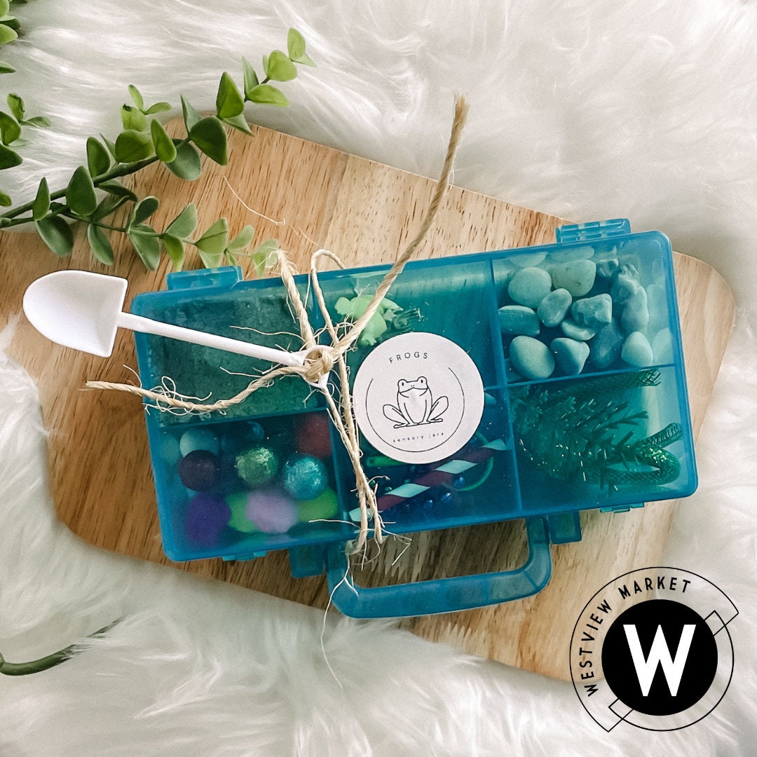 Frog Sensory Sand Box - Etsy