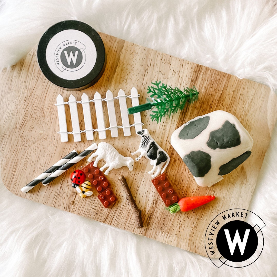 Farm Theme Sensory Play Dough Kit - Etsy