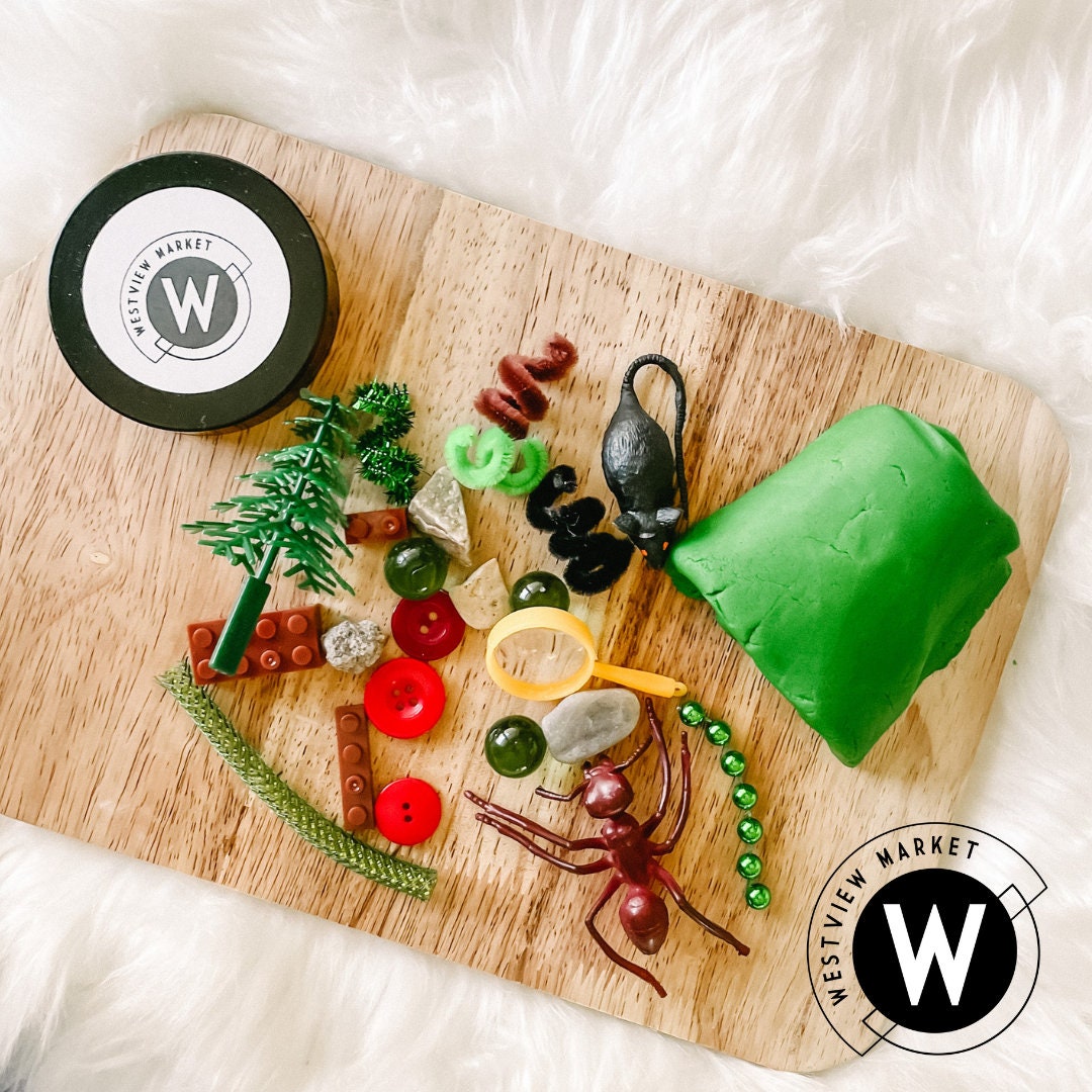 Jar of Bugs Theme Sensory Play Dough Kit - Etsy