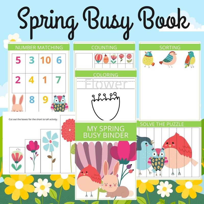 File Folder Game - Etsy