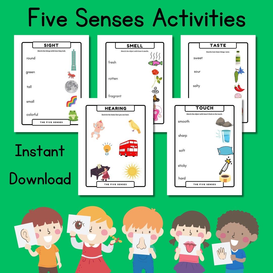 Five Senses Sorting Activity: Preschool Learning Worksheets (digital ...
