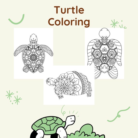 Box Turtle Coloring Page