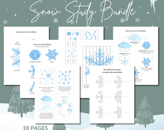 Life Cycle of a Snowflake Worksheet, Types of Precipitation, Winter ...
