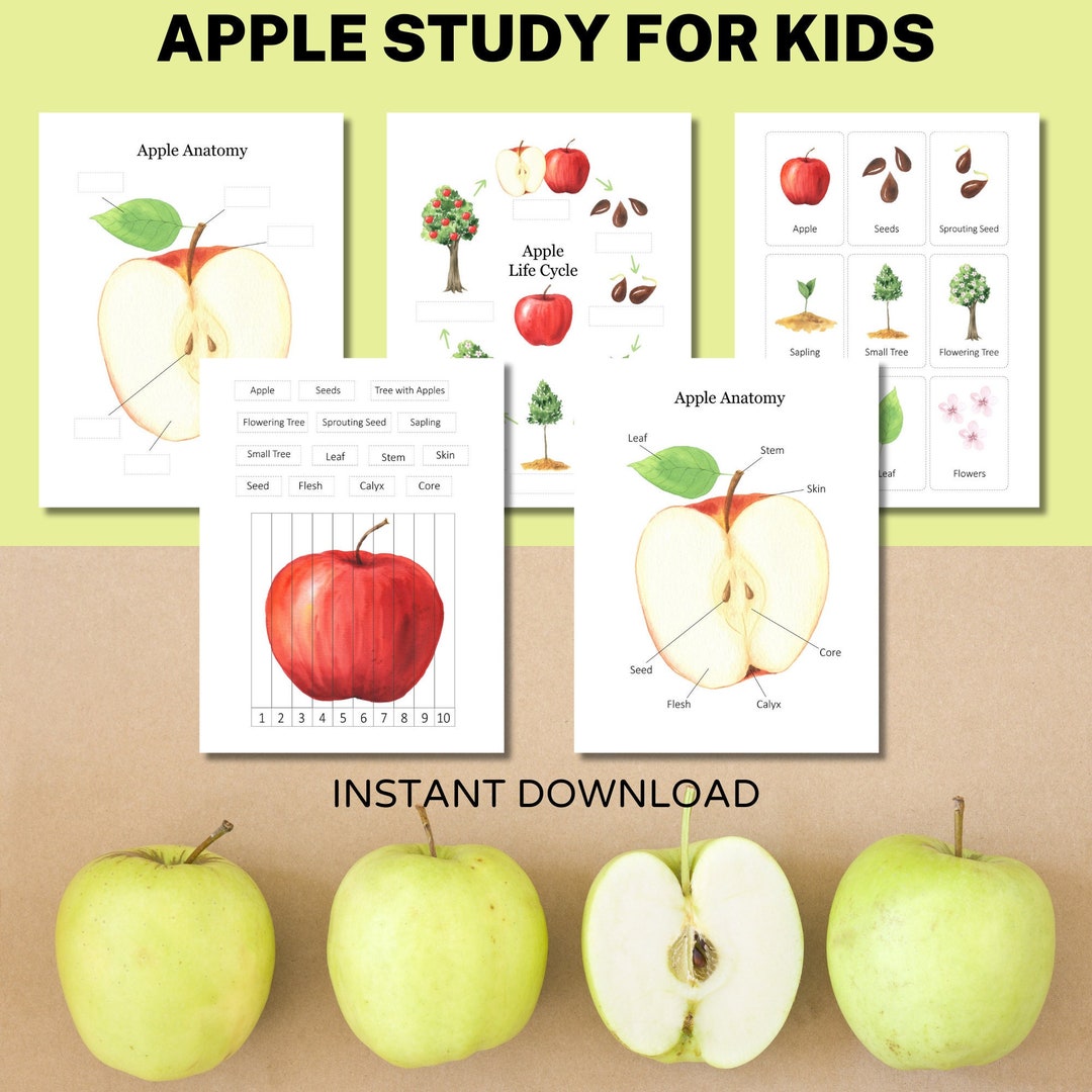 Apple Study Unit: Life Cycle, Anatomy & Number Puzzle (digital Download ...