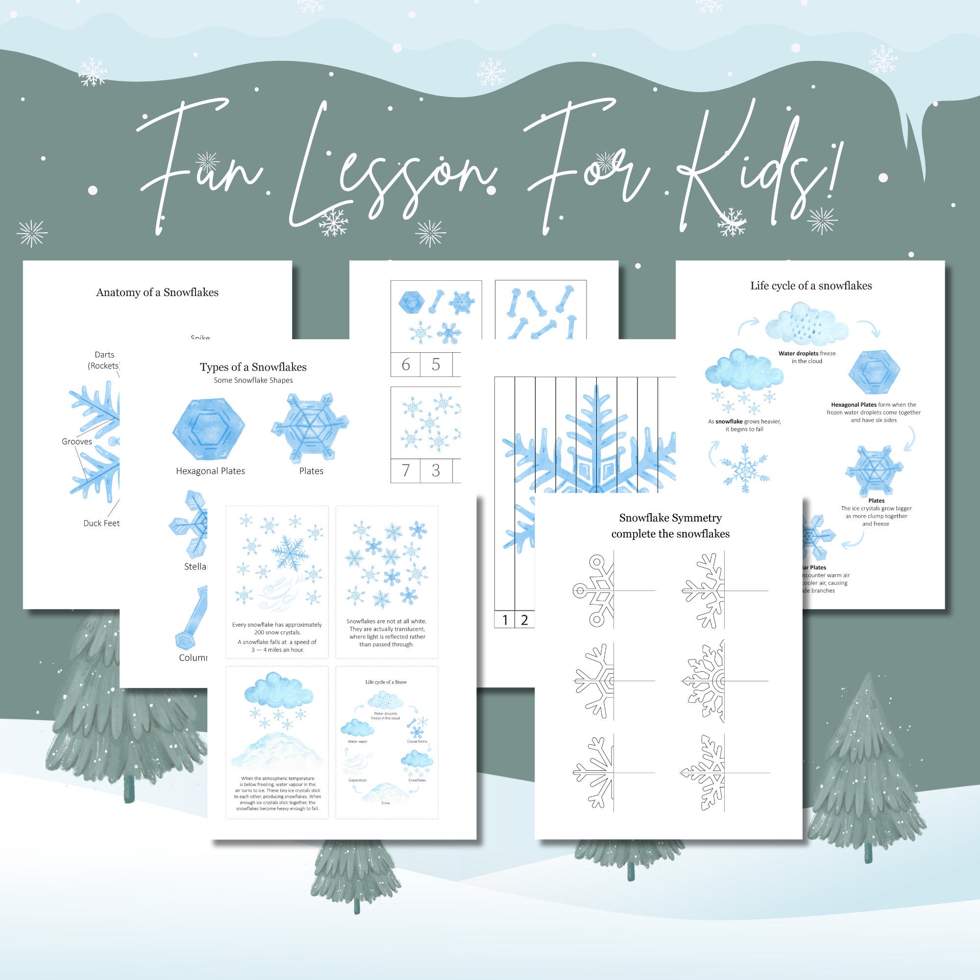 Snowflakes Study Activity, Winter Study Unit,winter Montessori ...