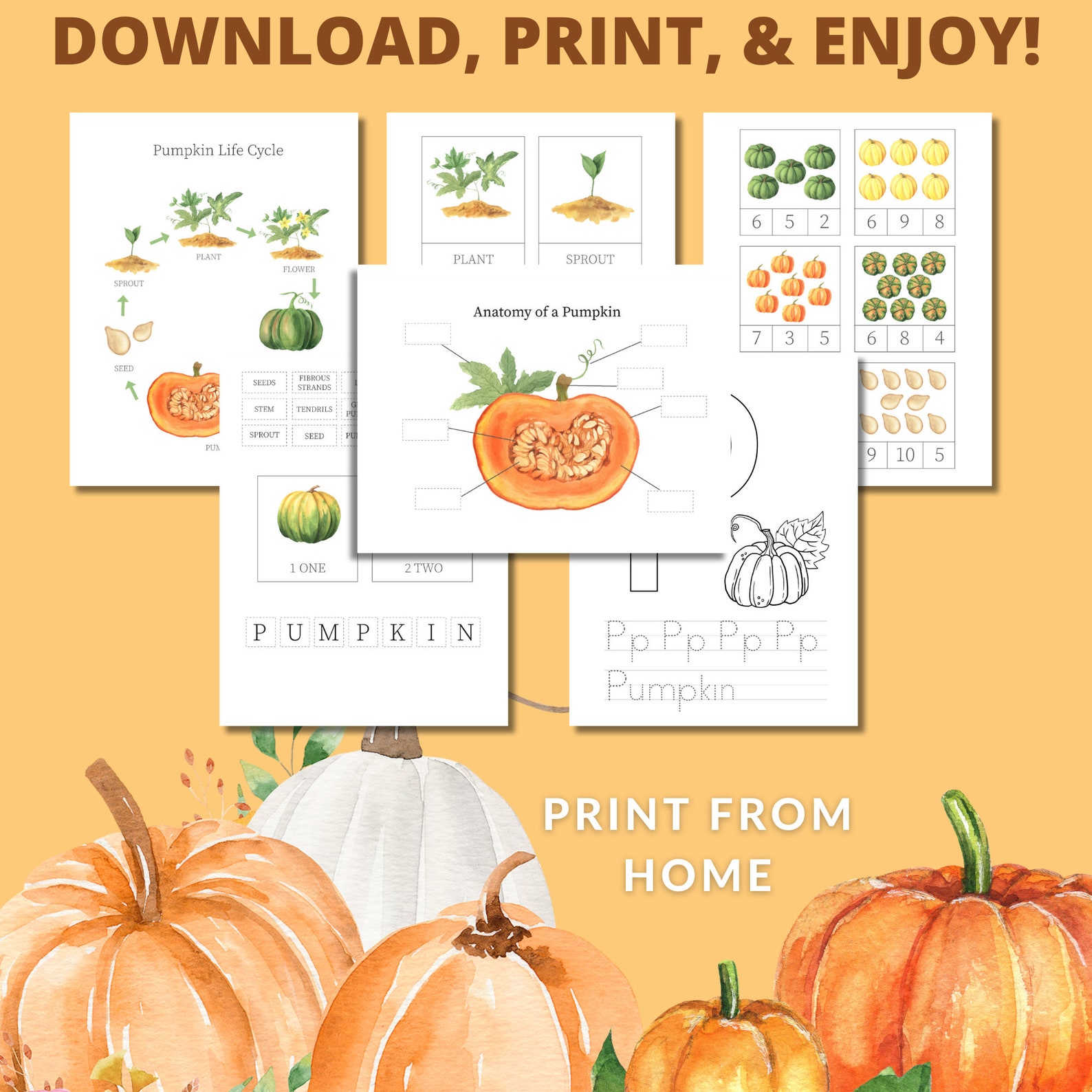Pumpkin Unit Study, Nature Studies Homeschooling, Fall Unit Study,fall ...