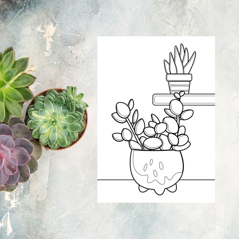 Boho Plant Coloring Pages