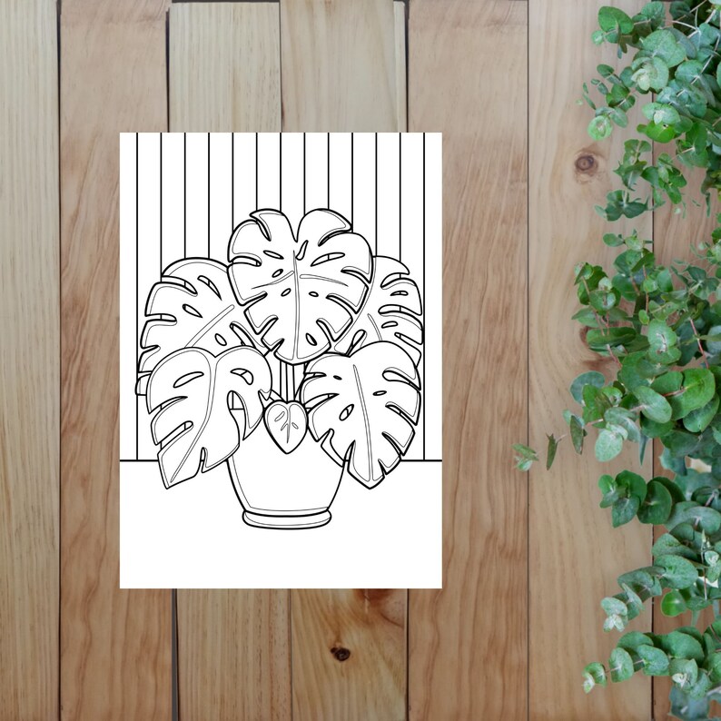 Boho Plant Coloring Relax Coloring Pages Plant Coloring - Etsy