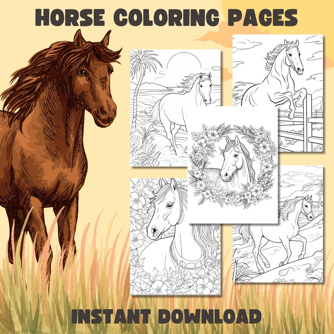 Horse Coloring Pages: Equestrian Activity for Kids & Adults (PDF) - Etsy