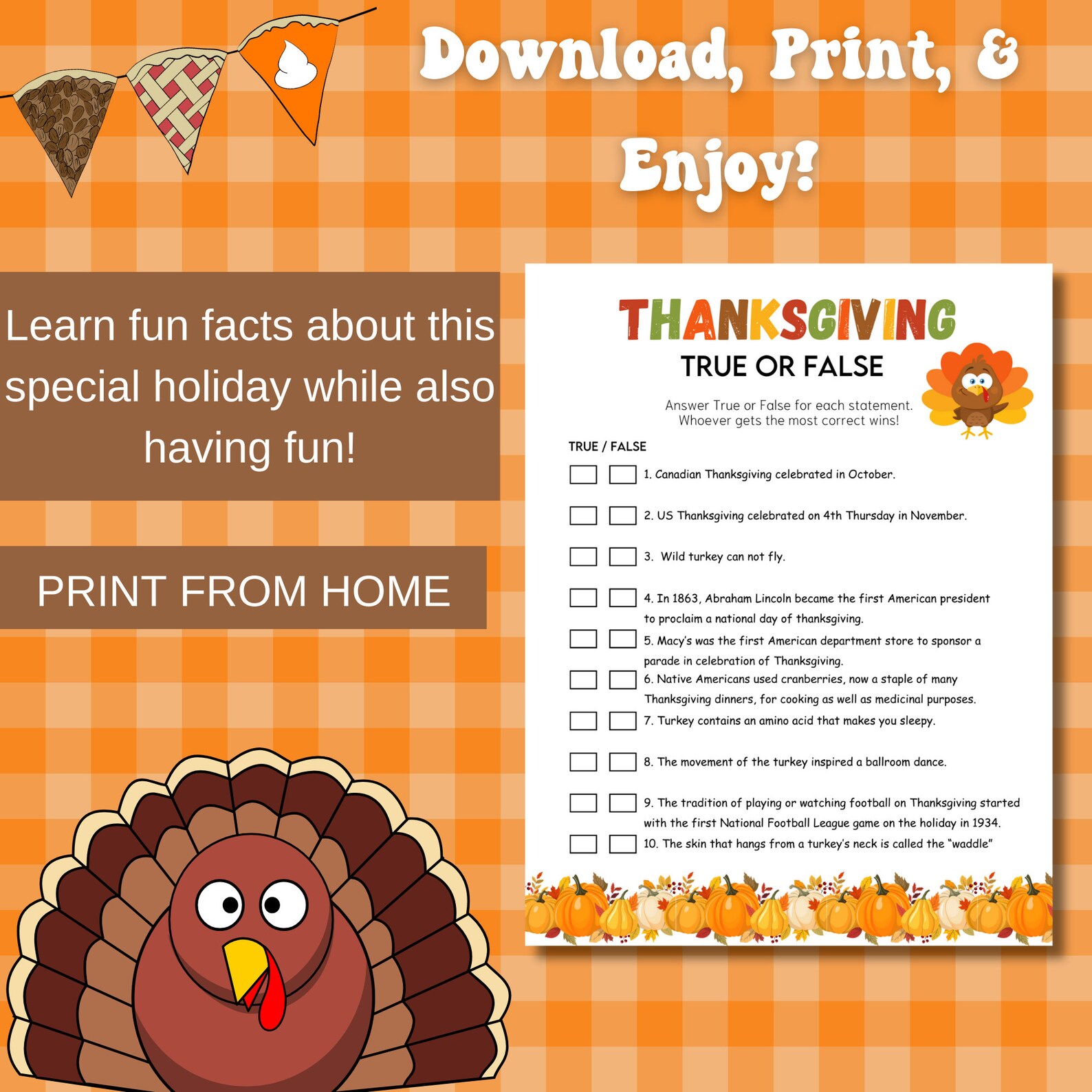 Thanksgiving Fowl Play, Fact or Fiction, True or False, Thanksgiving ...