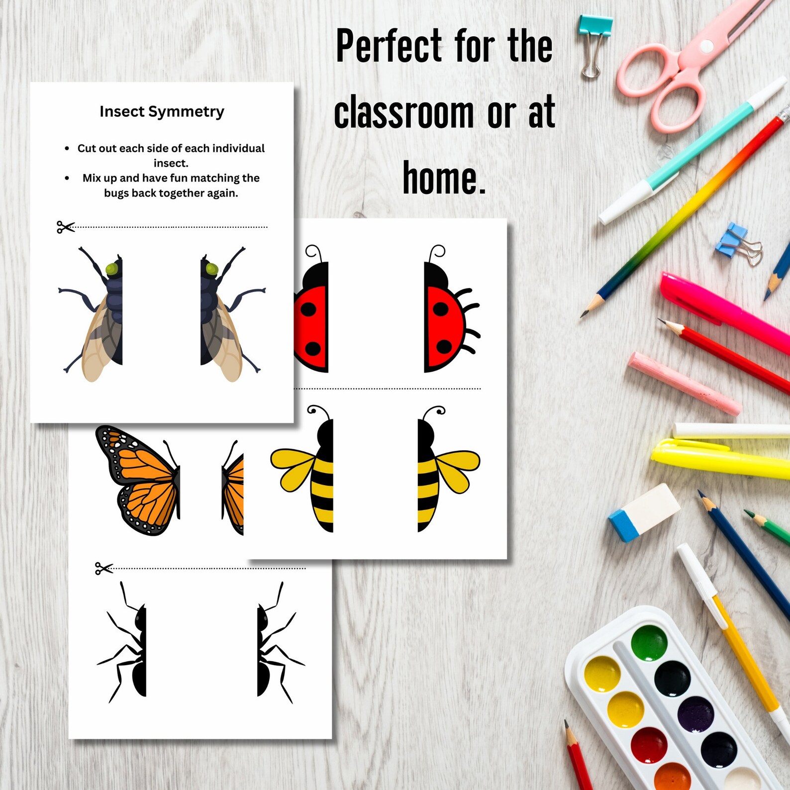 Insects Match and Sort, Bug Activity Printable, Size Sorting, Symmetry ...