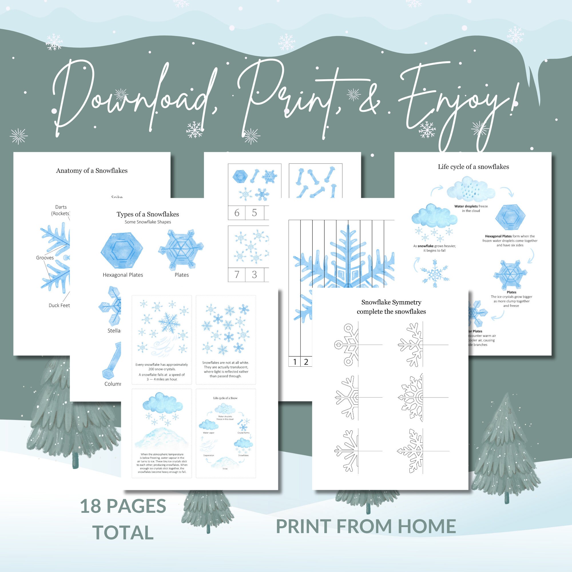 Snowflakes Study Activity, Winter Study Unit,winter Montessori ...