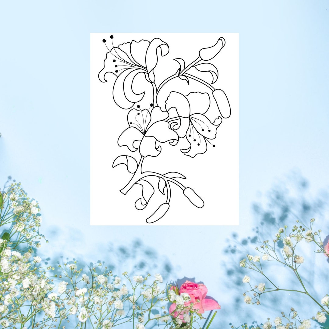 Spring Illustrations Coloring Page Setsimple Spring Coloring - Etsy