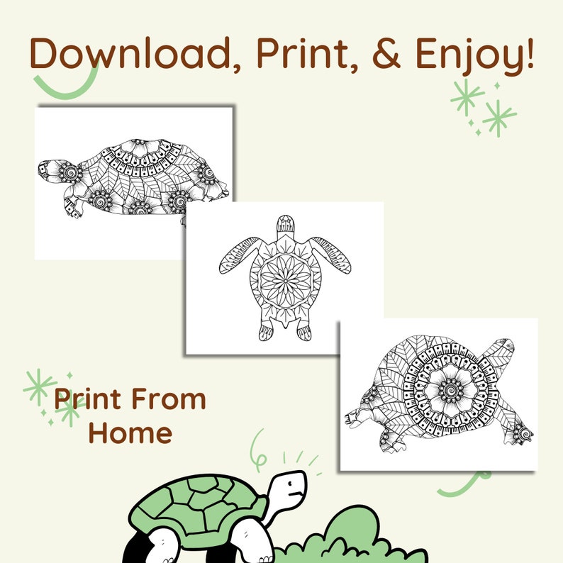 Turtle Coloring Page, Turtle Lovers, Box Turtle, Animal Color Pages ...