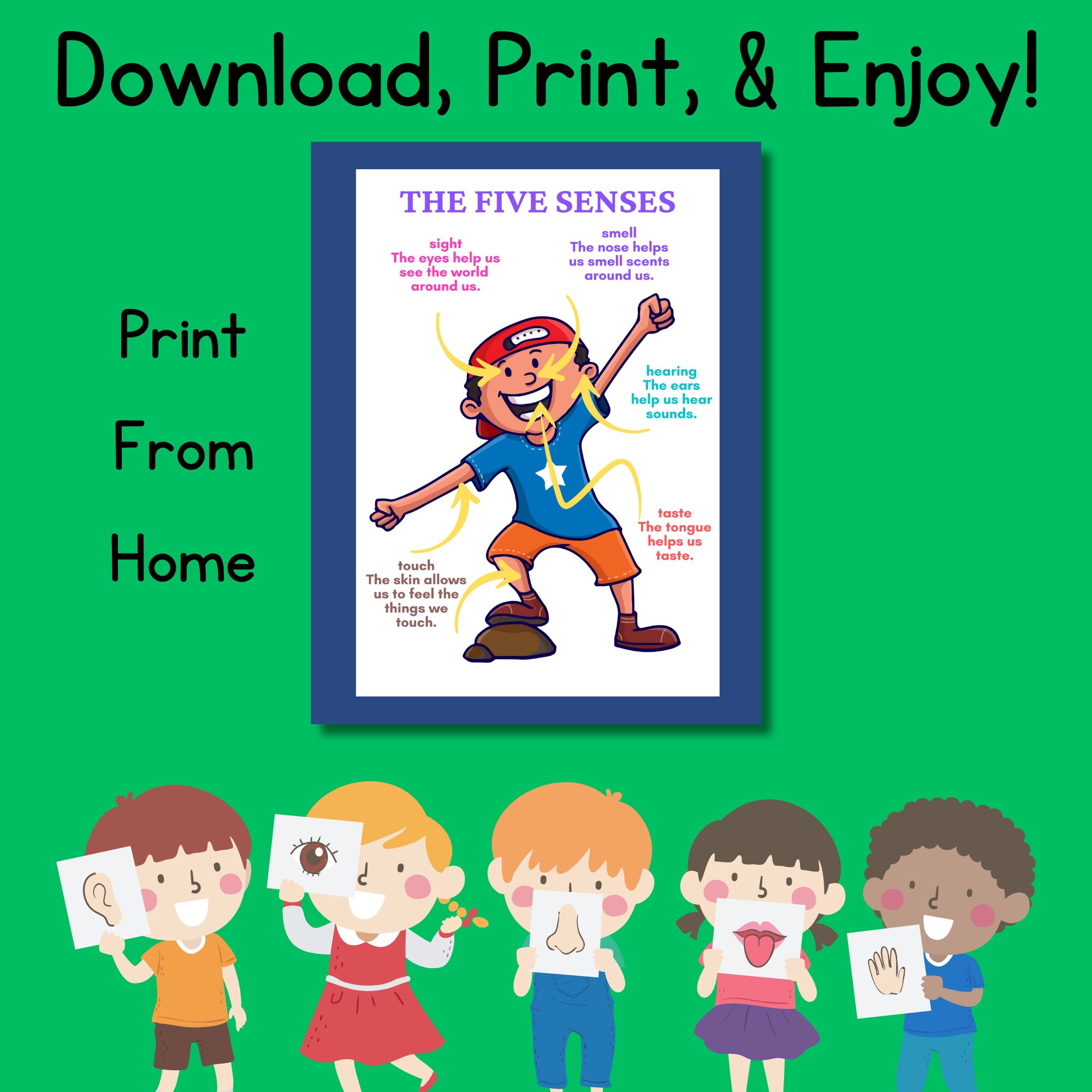 5 Senses Sorting Five Senses Sorting Activities 5 Senses Lesson