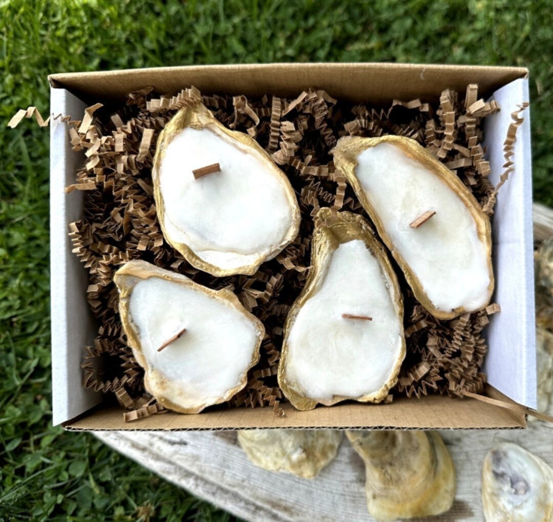 Shell Candles Four Oyster or Clam Shell Candles - Etsy