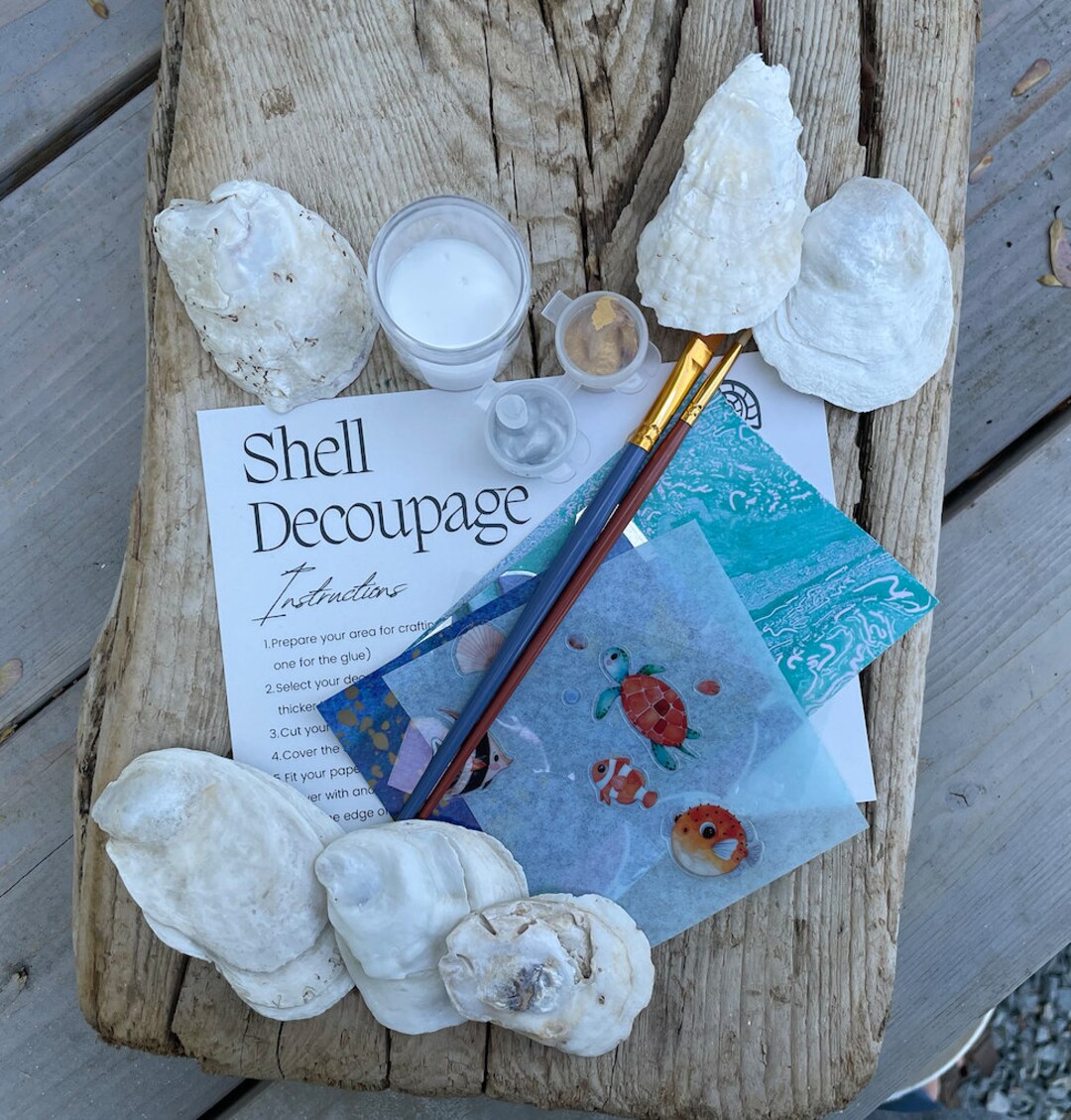 DIY Shell Ring Dish Kit - Etsy