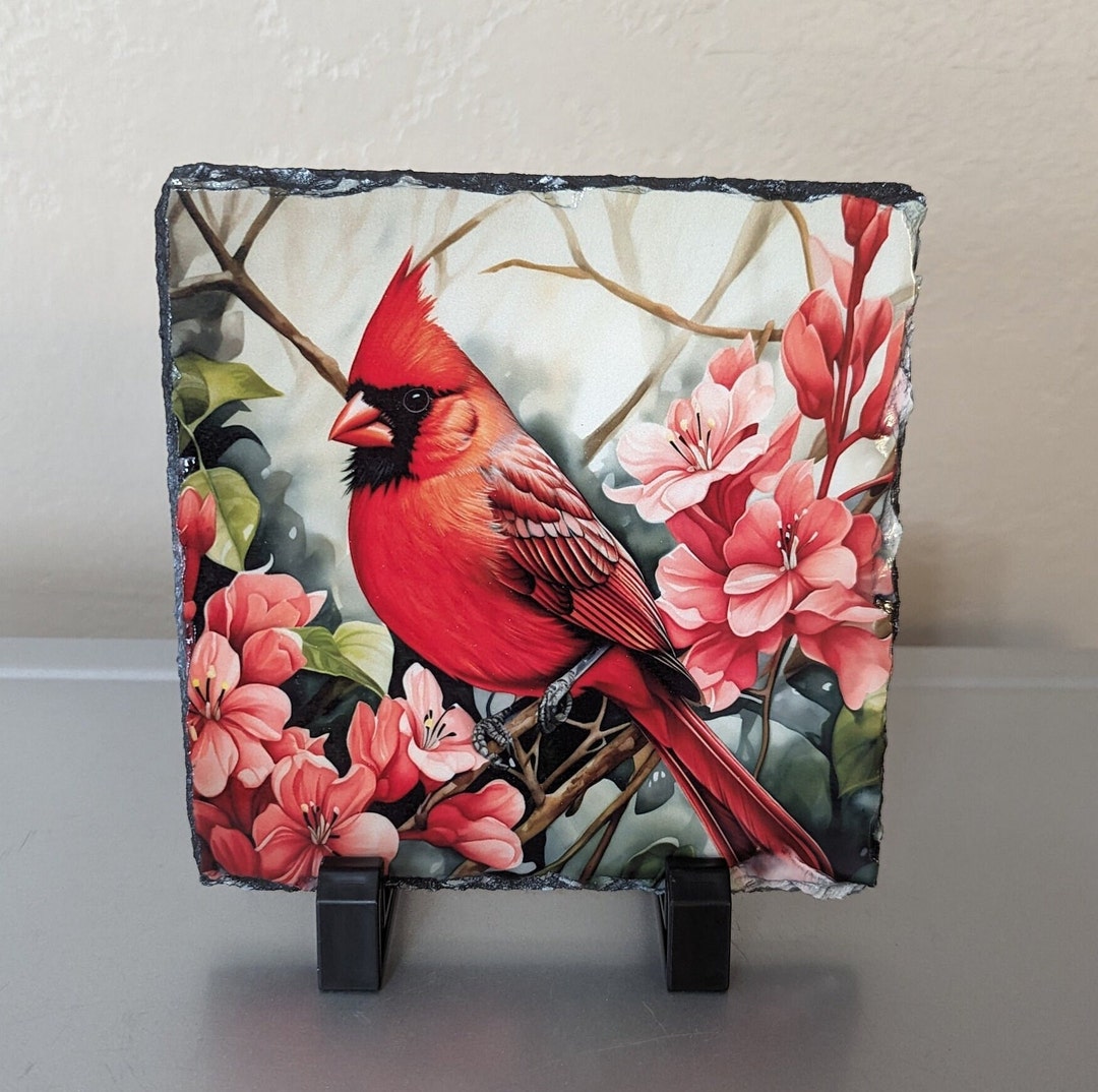 Slate Cardinal Picture With Display Legs, Cardinal Bird Photo on Slate ...