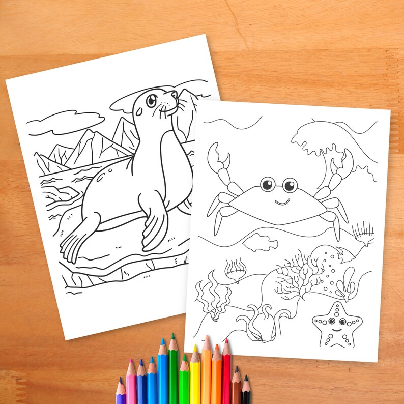 Marine Life and Aquatic Animals Coloring Book for Adults | Cute 60 ...