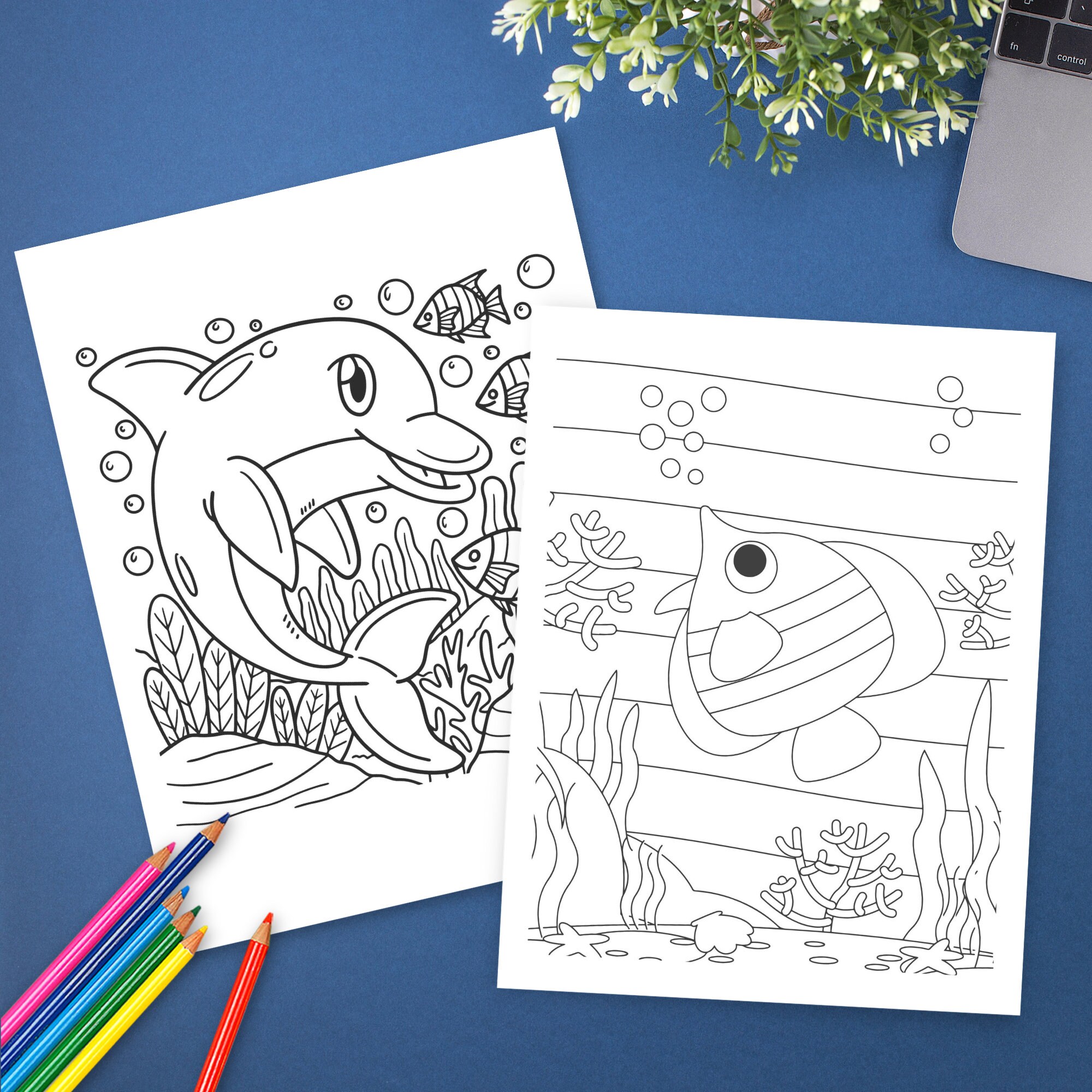 Marine Life and Aquatic Animals Coloring Book for Adults Cute 60 ...
