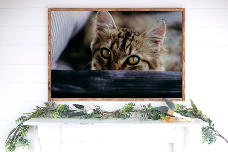 Farm Cat Printable, Farm Cat Digital Print, Cat Printable, Farm ...