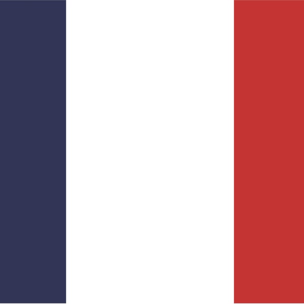 Sticker Flag of France - Etsy