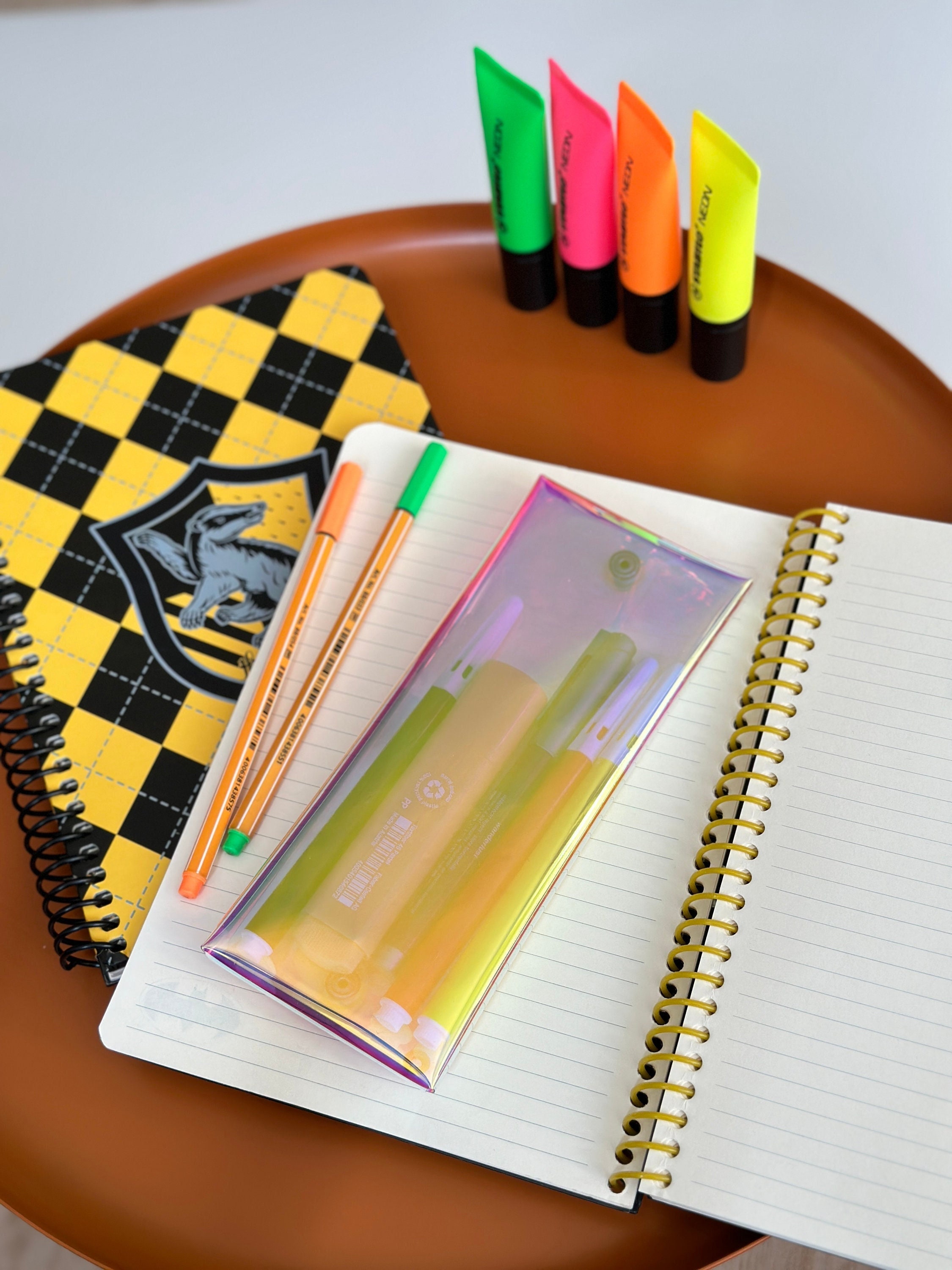 Holographic Pencil Case, Iridescent Pencil Holder, Anniversary Gift ...