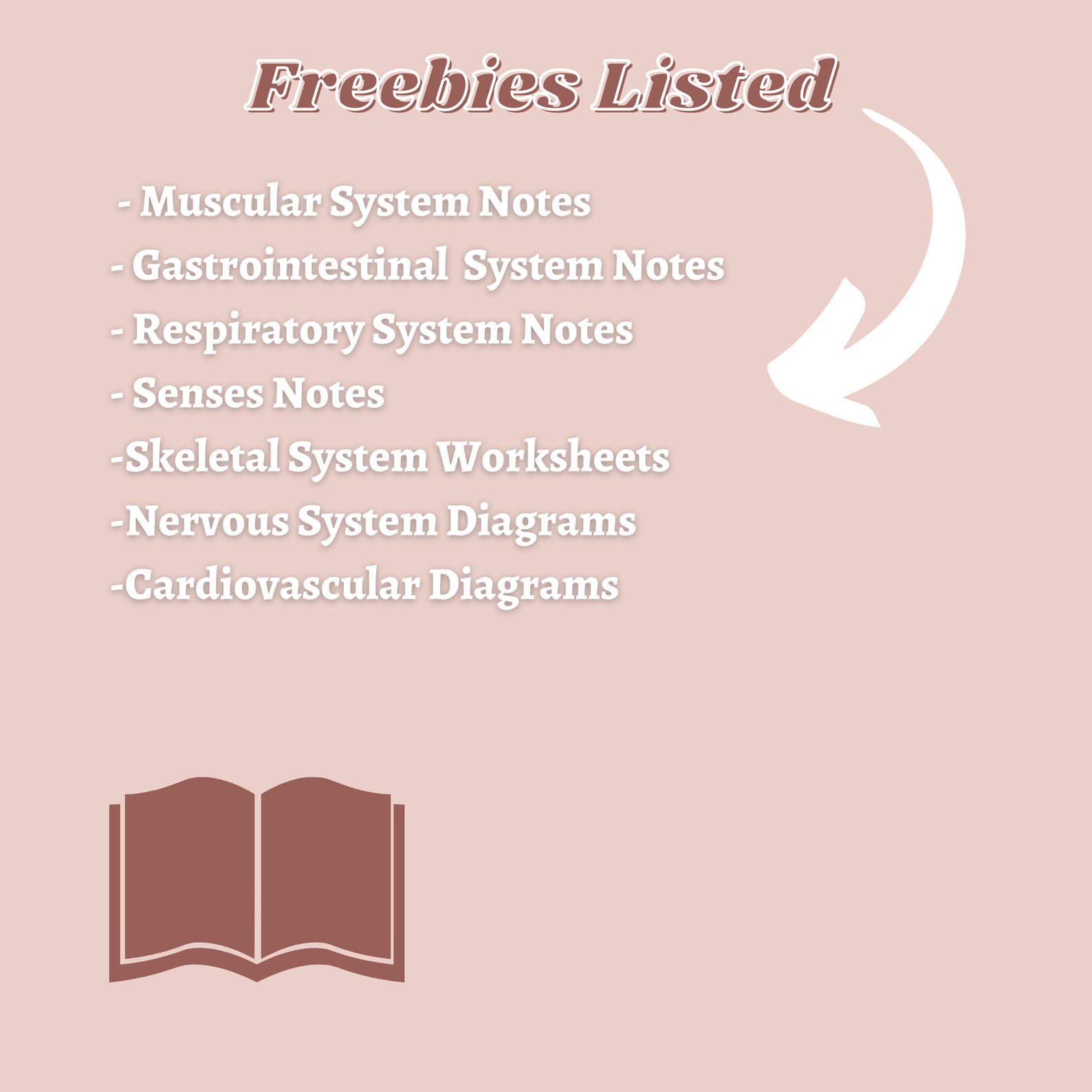 Human Anatomy Complete Study Bundle | Anatomy Notes & Study Guide - Etsy