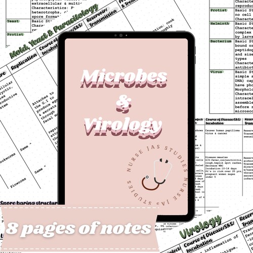 Microbiology Notes / Study Guide for Nursing Students 80 Pages - Etsy