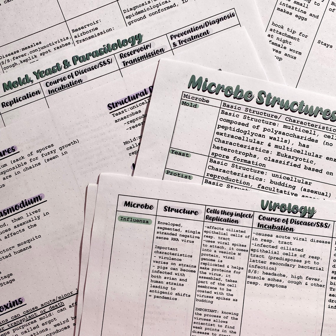 Microbiology | Notes & Charts - Etsy