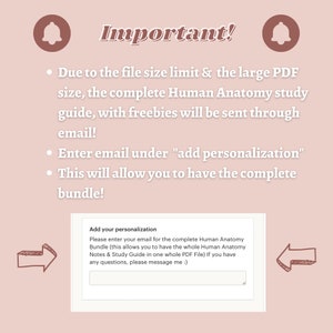 Human Anatomy Complete Study Bundle | Anatomy Notes & Study Guide - Etsy