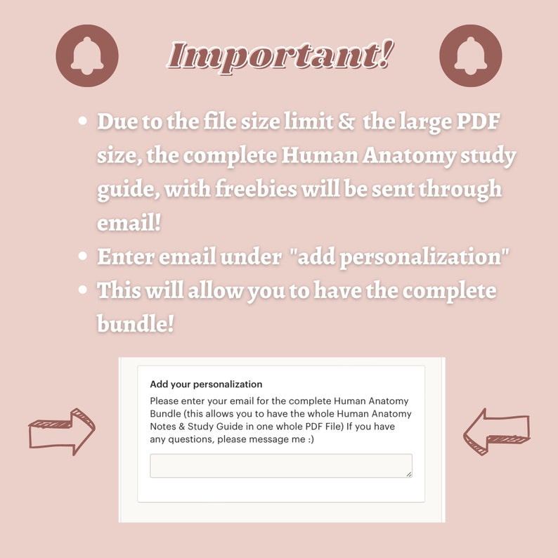 Human Anatomy Complete Study Bundle | Anatomy Notes & Study Guide - Etsy