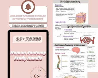 Nursejasstudies - Etsy