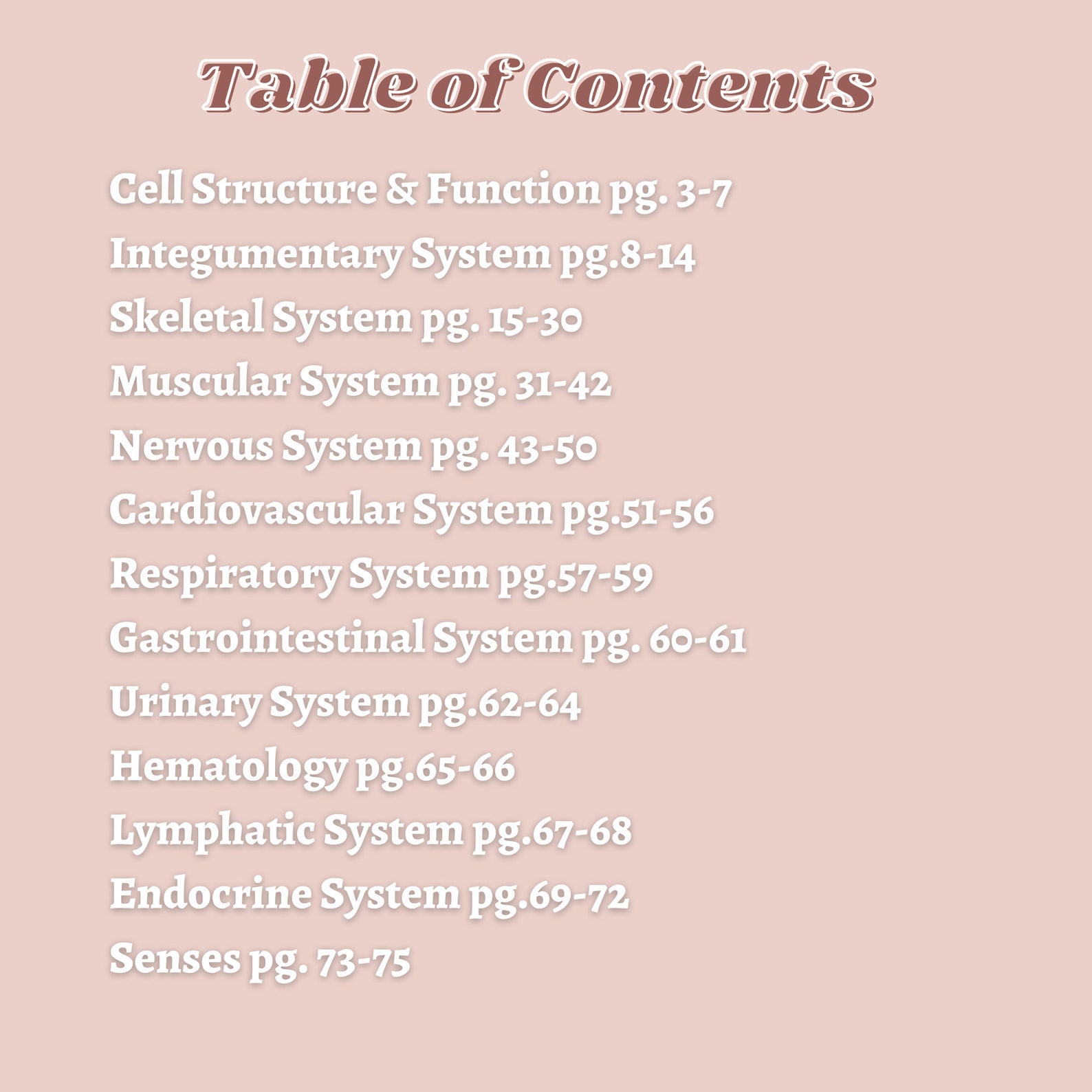 Human Anatomy Complete Study Bundle | Anatomy Notes & Study Guide - Etsy