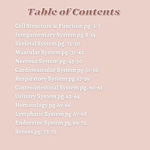 Human Anatomy Study Bundle | Notes & Diagrams (digital Download) - Etsy