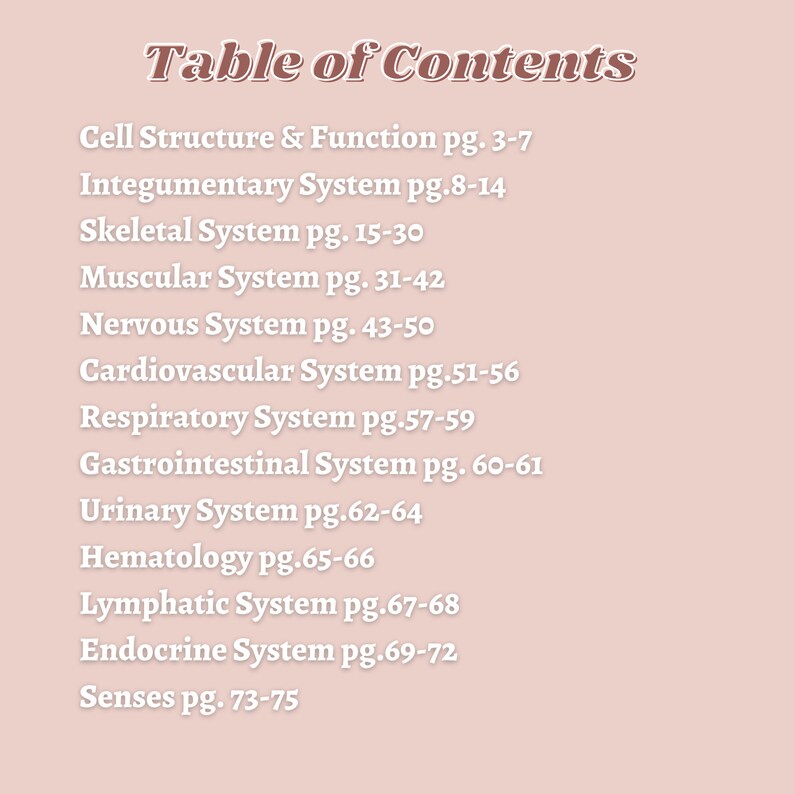 Human Anatomy Complete Study Bundle | Anatomy Notes & Study Guide - Etsy