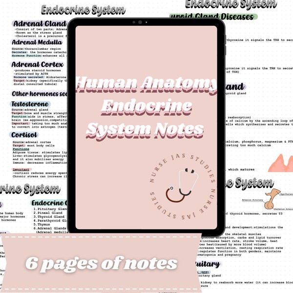 TBI One-page Reference Sheet / Concept Map - Etsy Canada