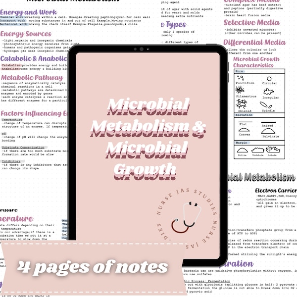 Human Anatomy Complete Study Bundle Anatomy Notes & Study Guide - Etsy