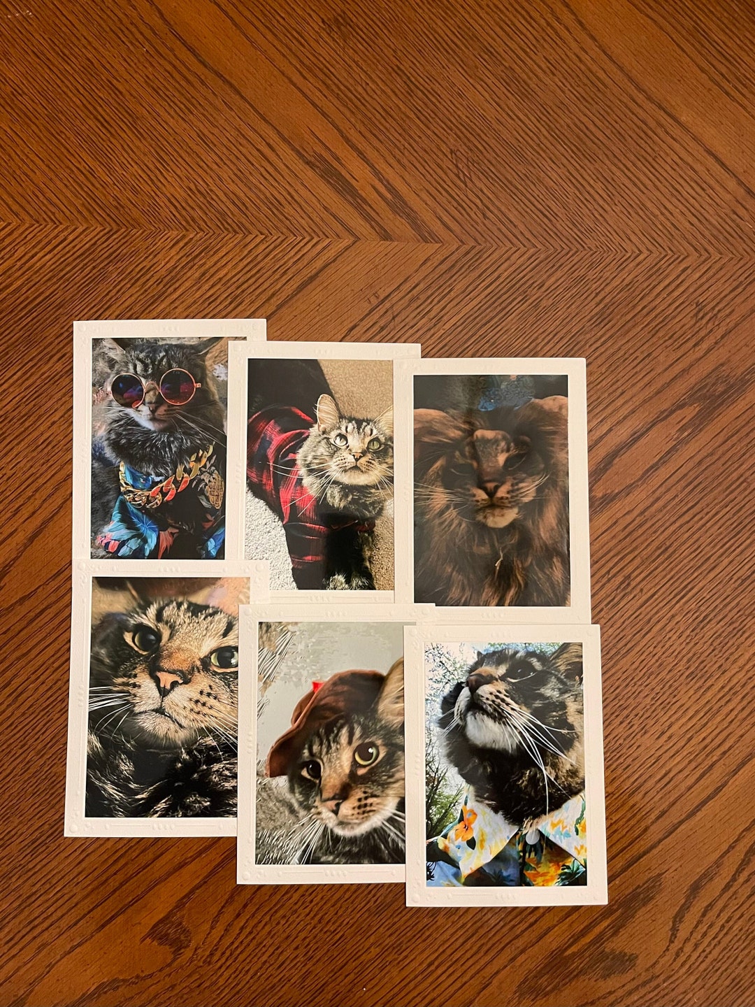 Funny Cat Cards - Etsy