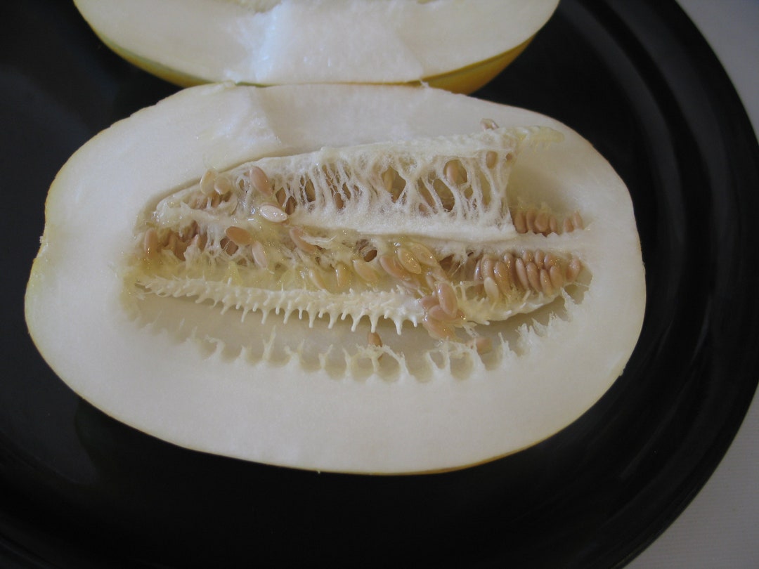 Hami Chinese Melon | 10 Seeds - Etsy