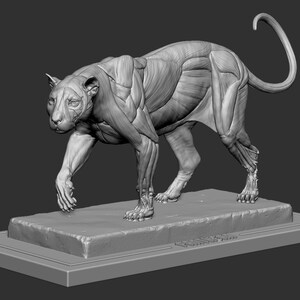 Unique 3D Printed Leopard Anatomy Sculpture: Half Leopard, Half Leopard ...