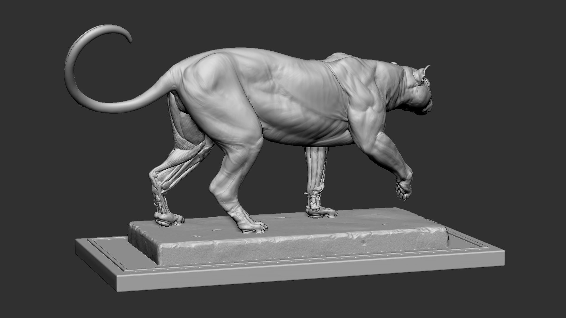 Unique 3D Printed Leopard Anatomy Sculpture: Half Leopard, Half Leopard ...