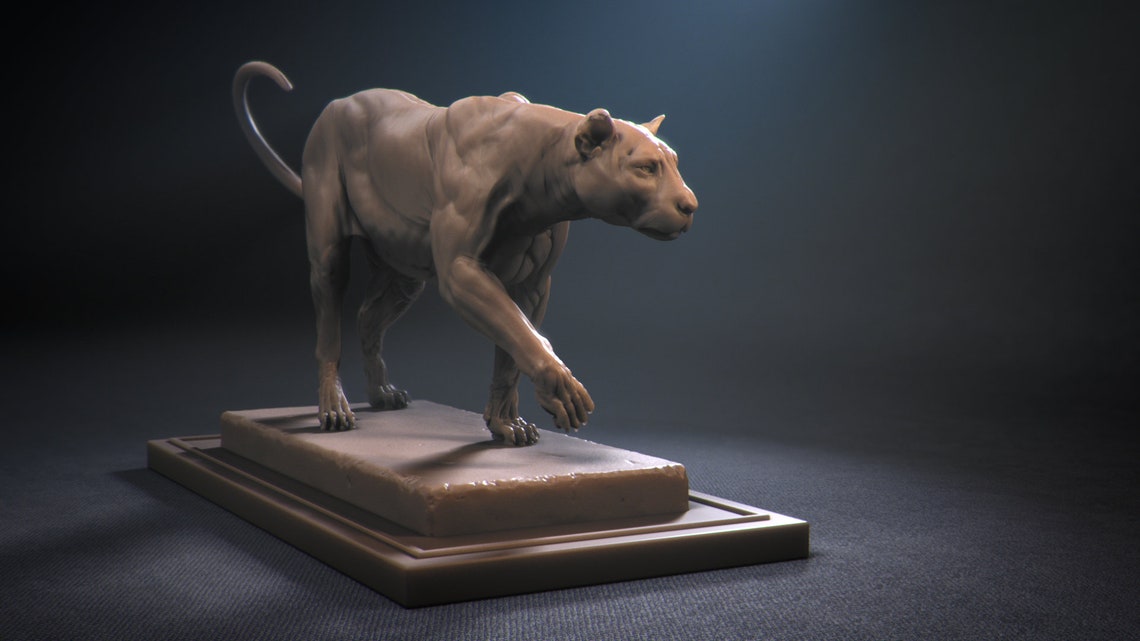 Unique 3D Printed Leopard Anatomy Sculpture: Half Leopard, Half Leopard ...