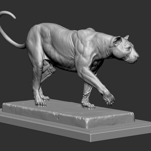 Unique 3D Printed Leopard Anatomy Sculpture: Half Leopard, Half Leopard ...