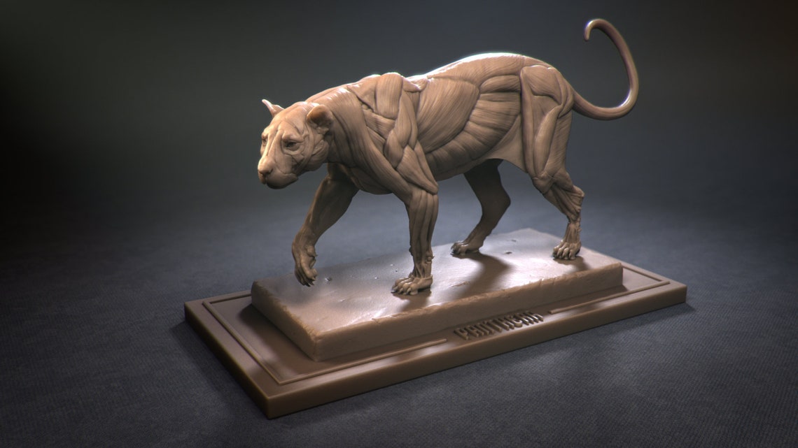 Unique 3D Printed Leopard Anatomy Sculpture: Half Leopard, Half Leopard ...