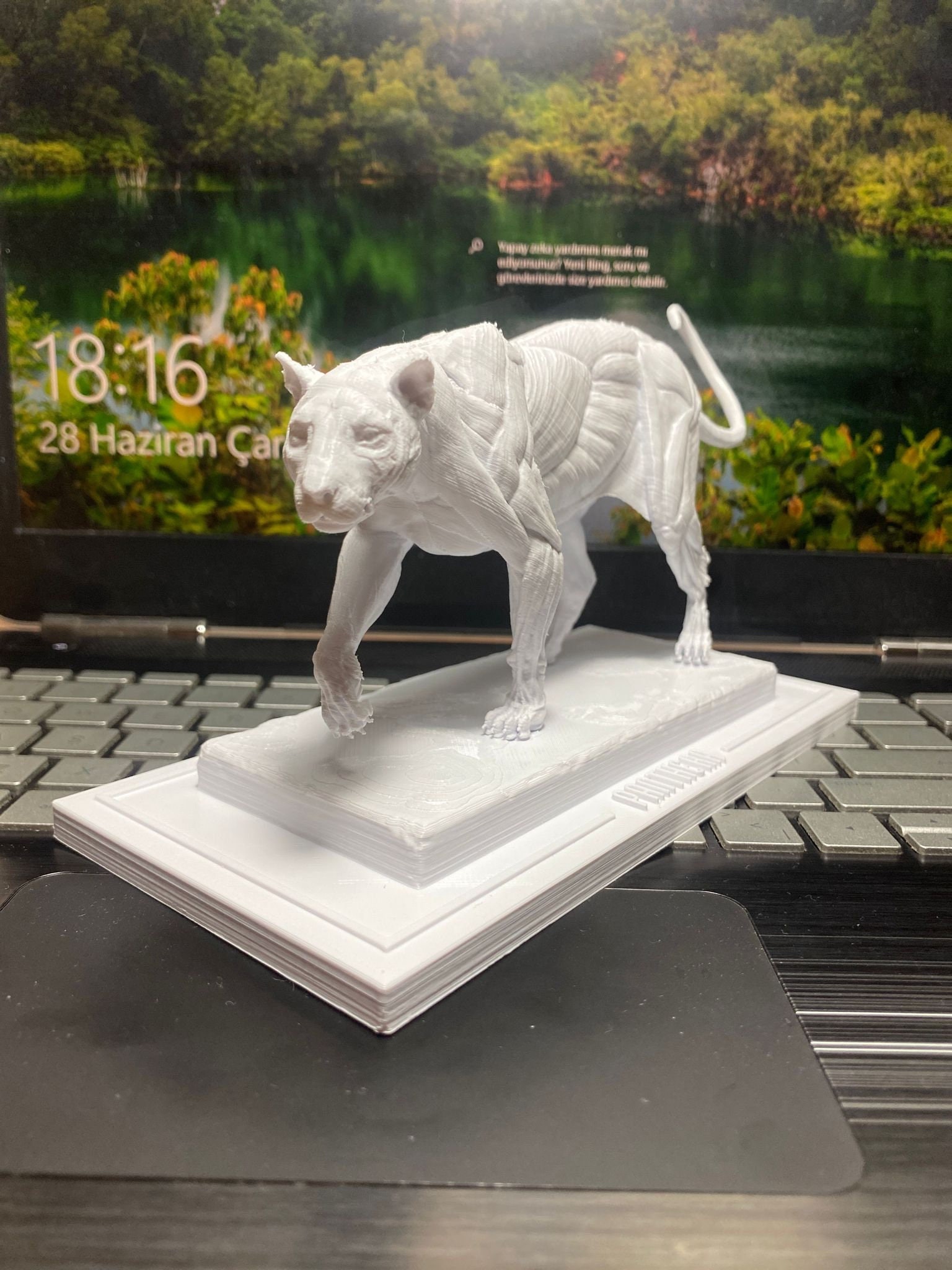 Unique 3D Printed Leopard Anatomy Sculpture: Half Leopard, Half Leopard ...