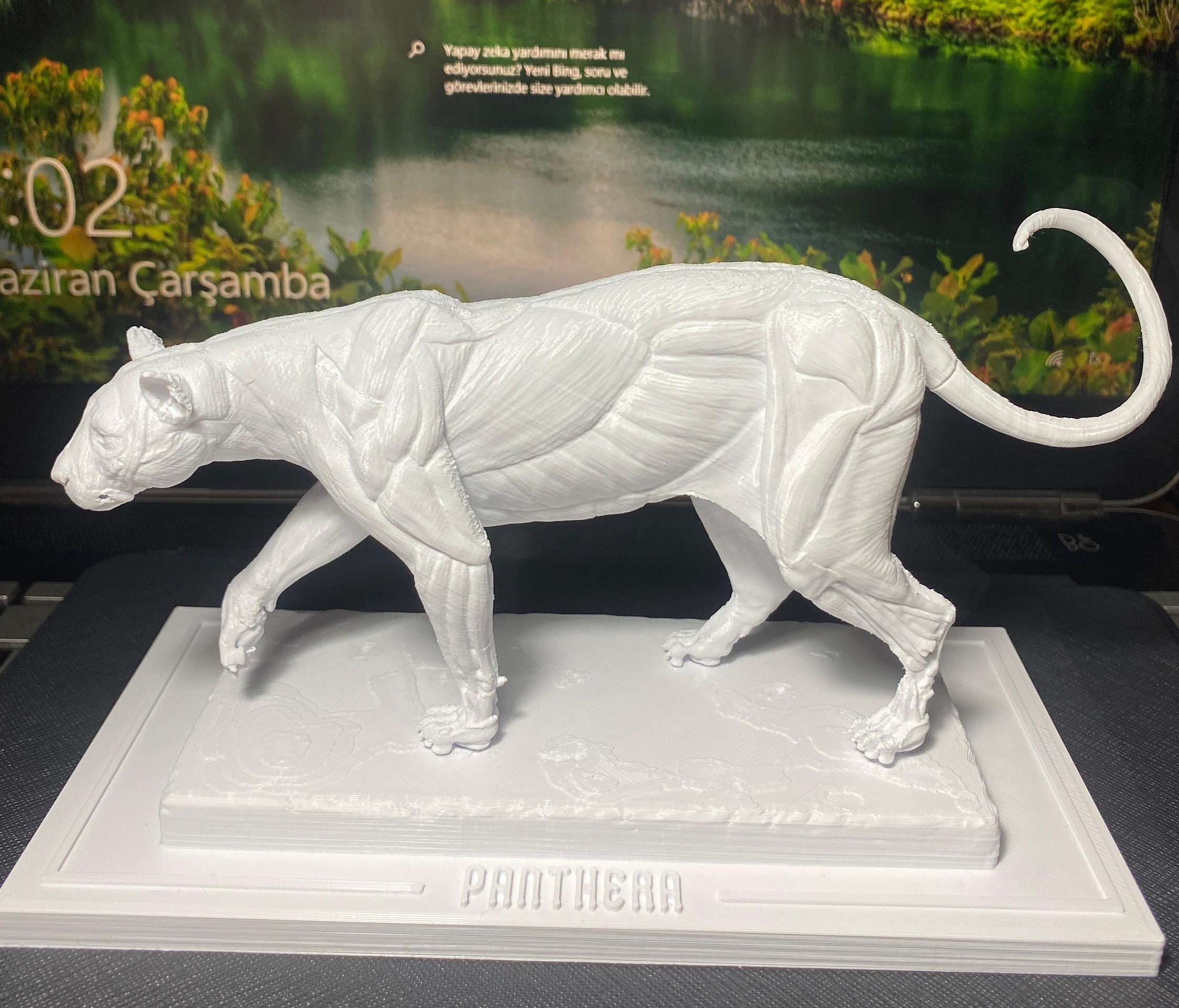 Unique 3D Printed Leopard Anatomy Sculpture: Half Leopard, Half Leopard ...